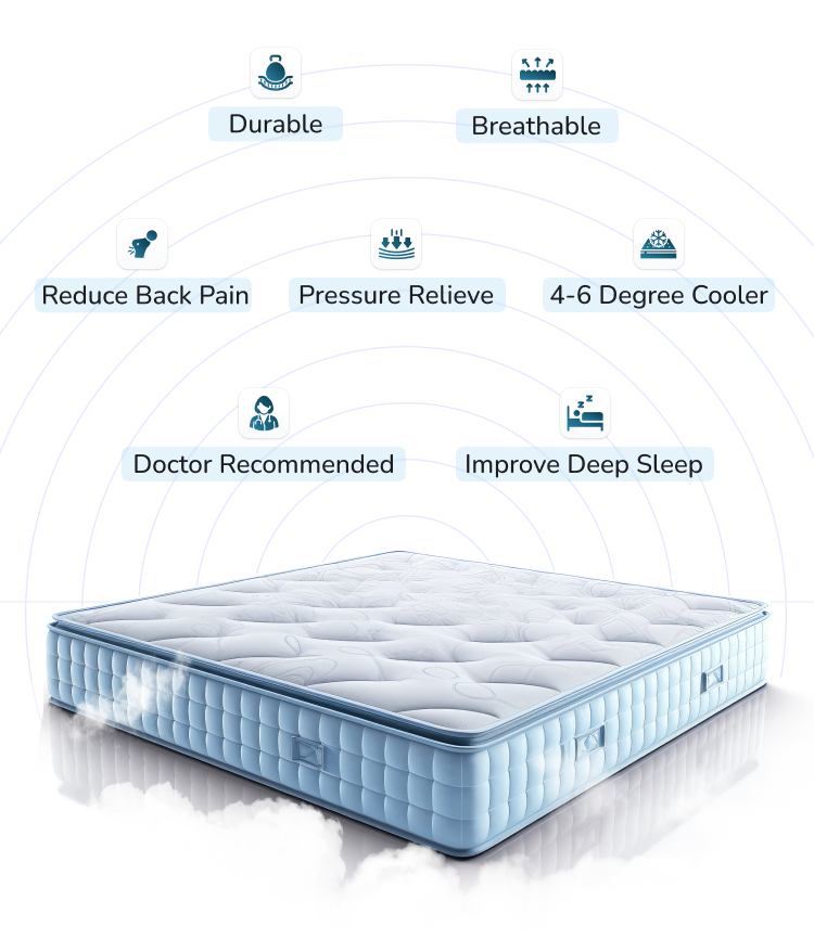 Foamify | Redefining Comfort, Reinventing Sleep